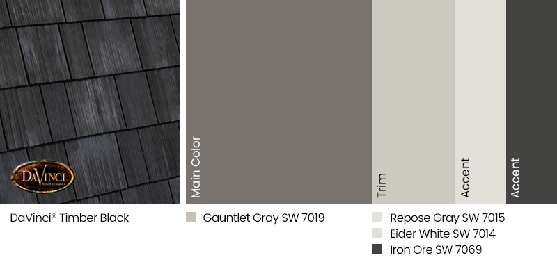 Creating Perfect Color Palettes with DaVinci's New Shake Colors
